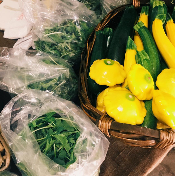 Zucchini/PattyPan – Small Wheel Farm