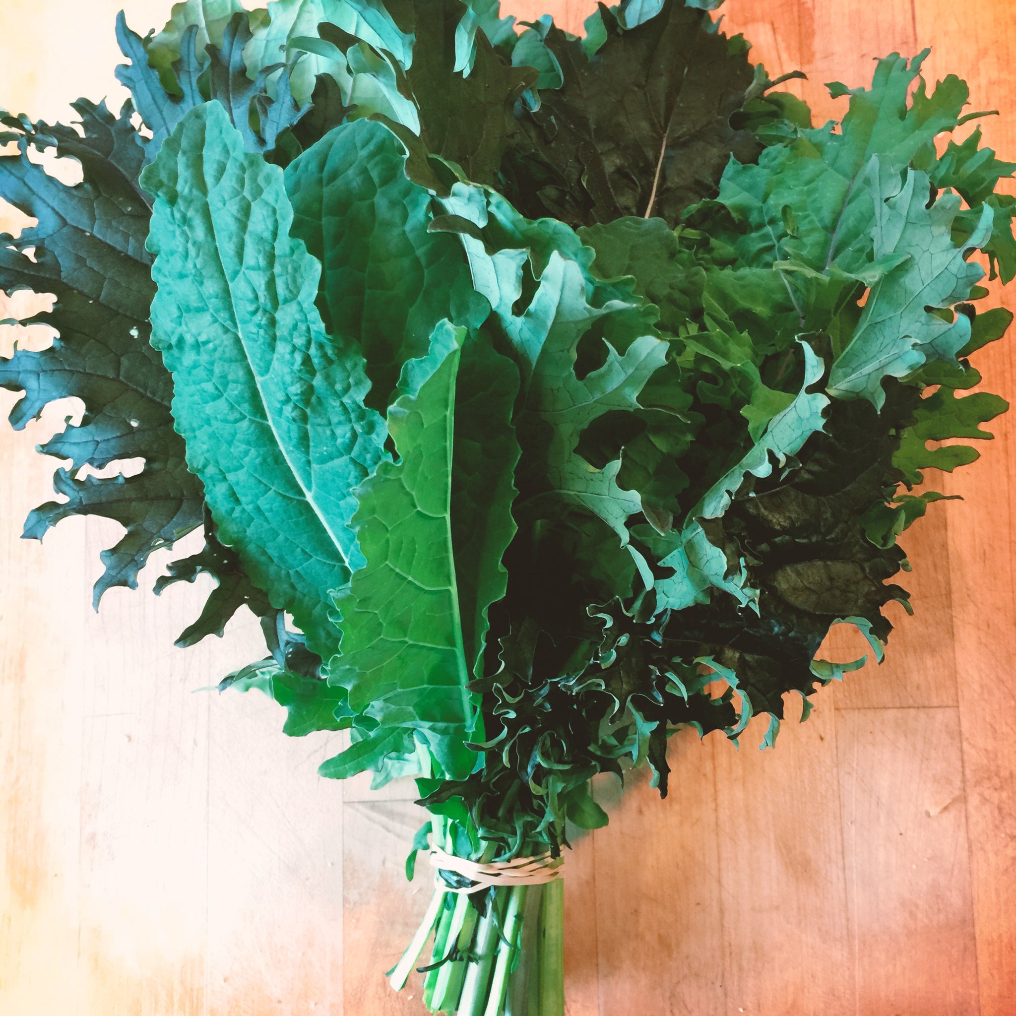 Kale/Collard Bunch – Small Wheel Farm