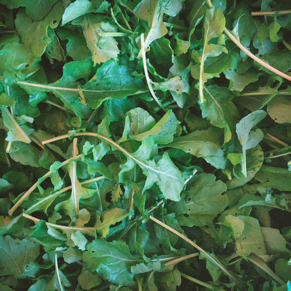 Arugula – Small Wheel Farm